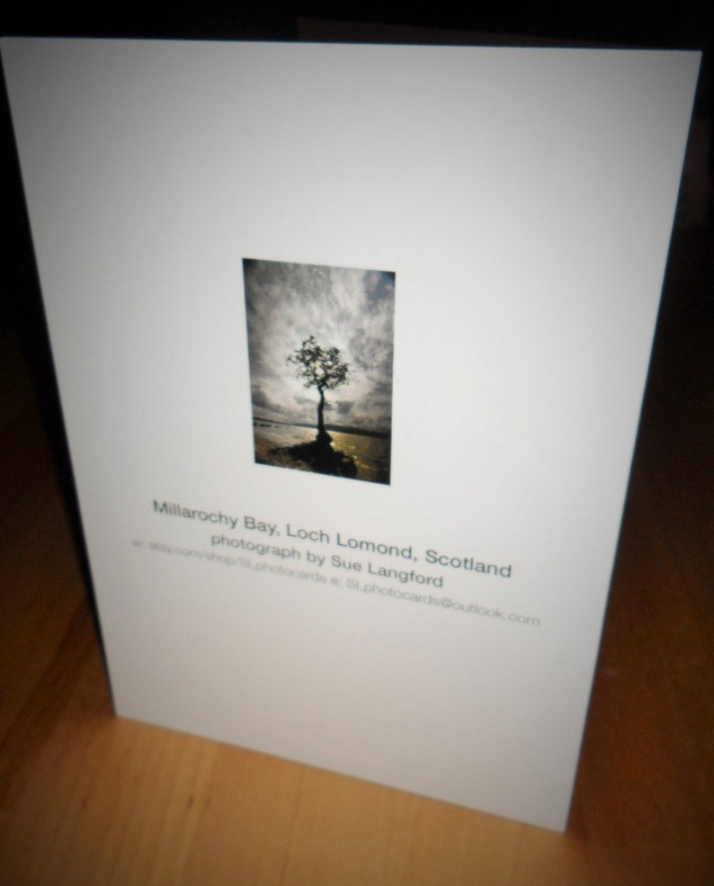 LOCH LOMOND TREE, Scotland Lonely Tree Photography Card, Millarochy Bay ...
