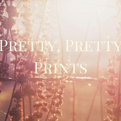 PrettyPrettyPrintsUS - Etsy