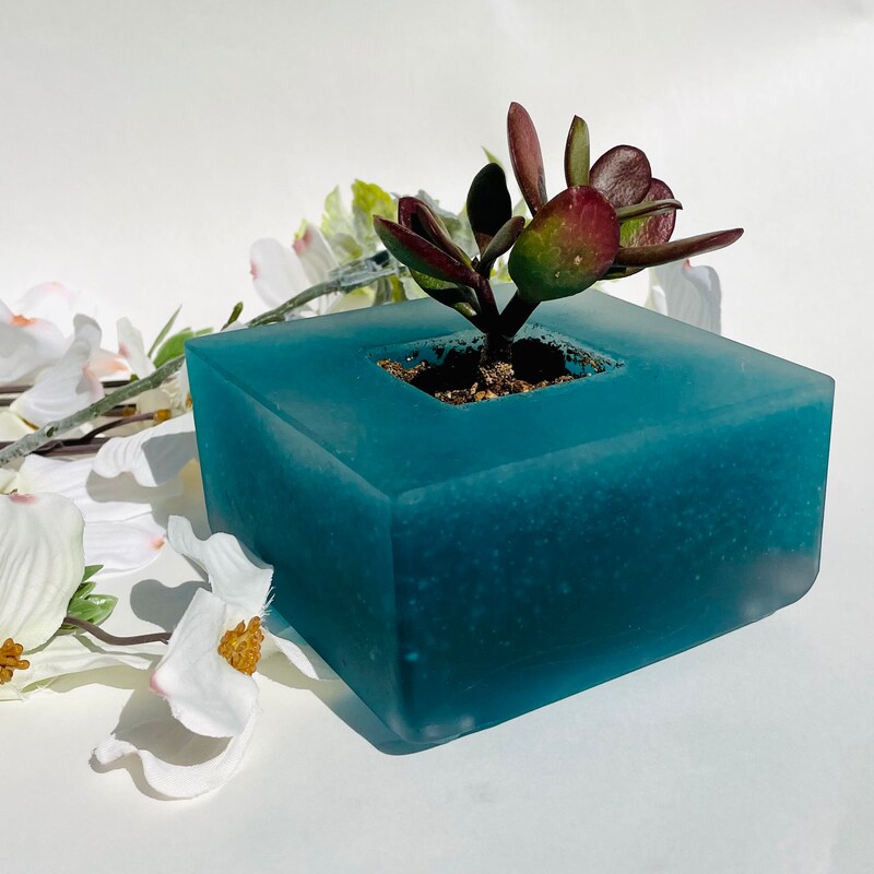 Glass Planter - Etsy