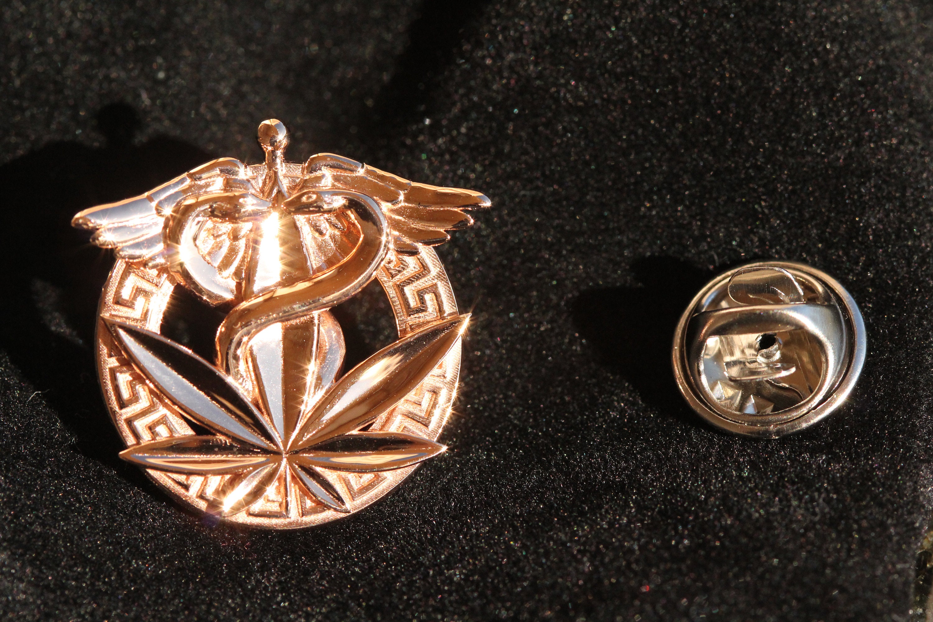 Medical Marijuana Pin, Caduceus Symbol, Winged Snake Staff, Ancient ...