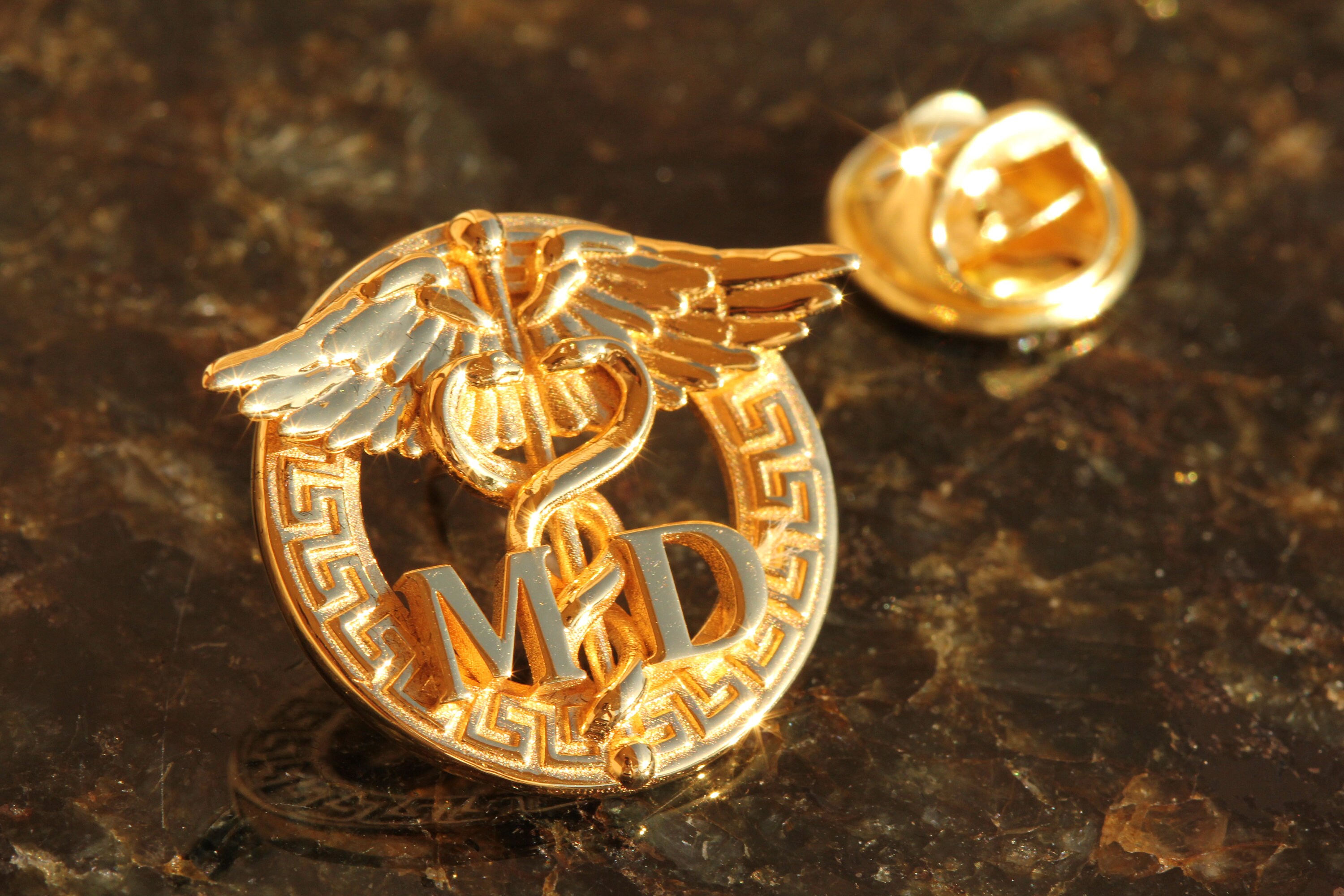 Medical Pin MD Greek Design, Gift for Doctor Army Doctor Caduceus ...