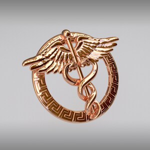 Lapel Pin, Symbol for Medicine, Rose Gold Plated, Nurses, Doctors ...