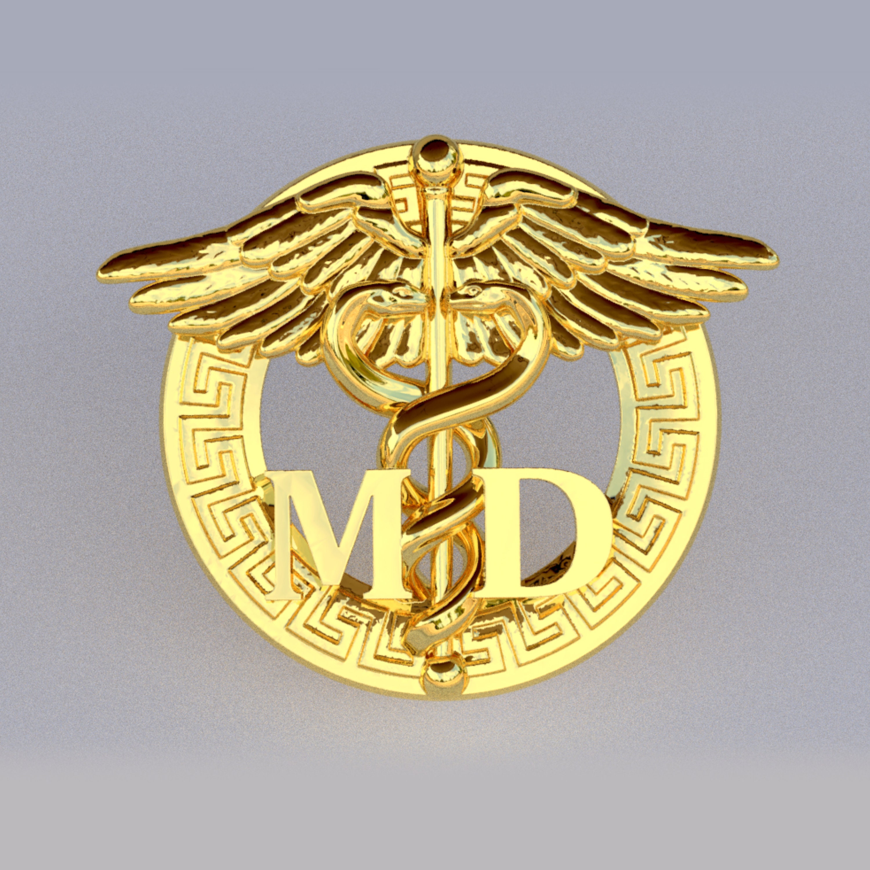 Medical Pin MD Greek Design, Gift for Doctor Army Doctor Caduceus ...
