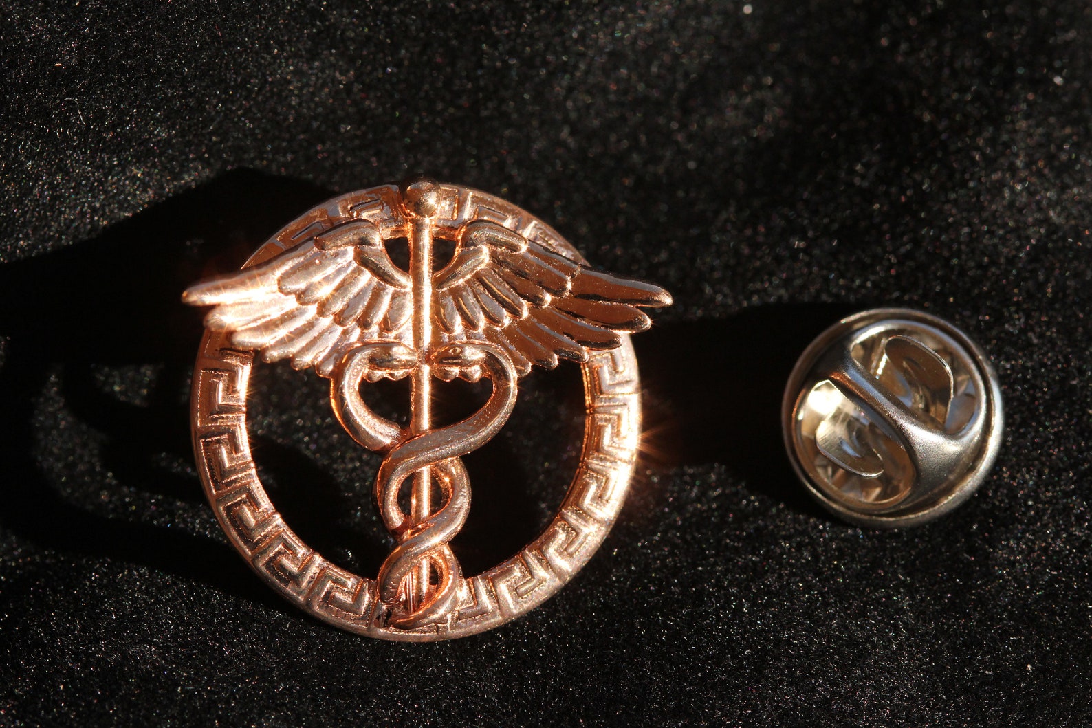 Lapel Pin, Symbol for Medicine, Rose Gold Plated, Nurses, Doctors ...