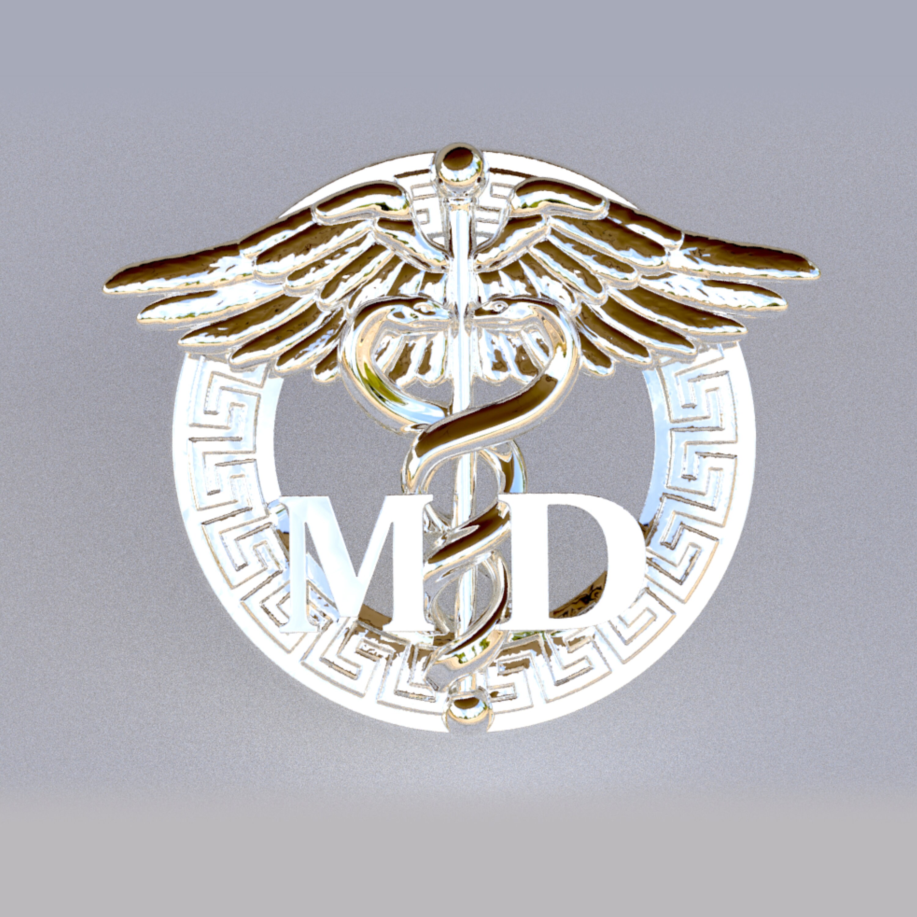 Medical Pin MD Greek Design, Gift for Doctor Army Doctor Caduceus ...