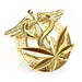 Medical Marijuana Pin, Caduceus Symbol, Winged Snake Staff, Ancient ...