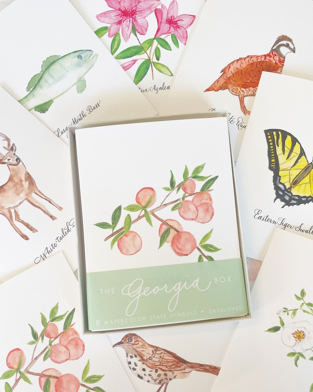 Georgia Notecards - Etsy