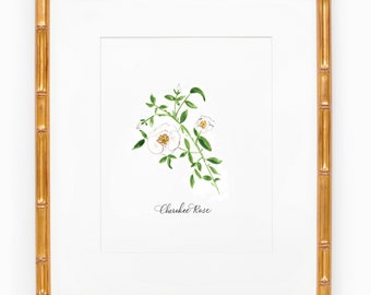 Cherokee Rose - Etsy