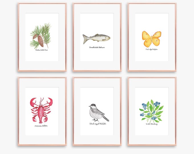 Maine Art Prints Gallery Wall Collection, Set of 6 - Etsy