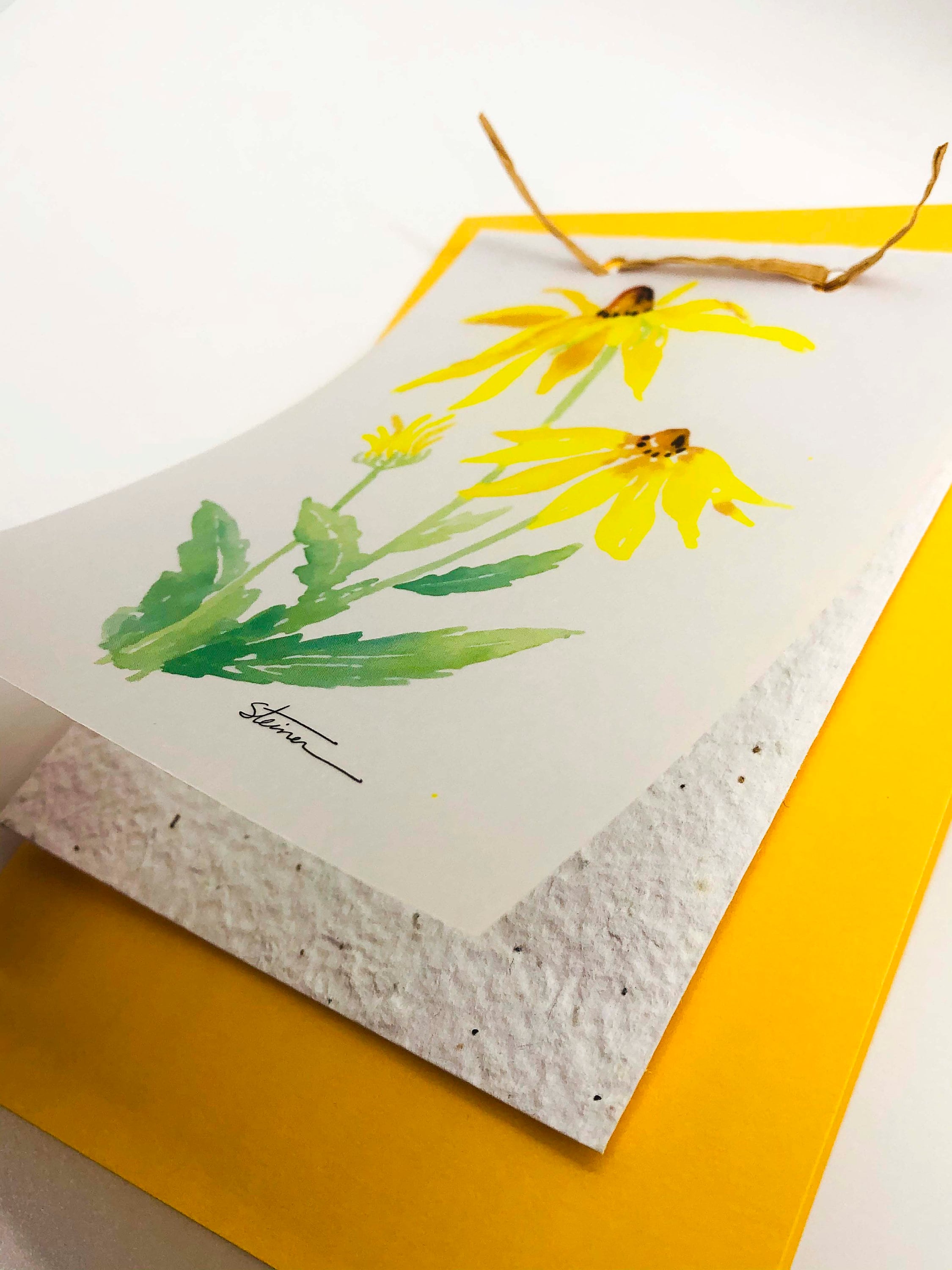 Custom Greeting Card Paper Sprouts Yellow Daisies Watercolor Birthday ...