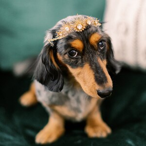 STELLA Gold Art Deco Celestial Glamorous Crystal Wedding Tiara for Dogs ...