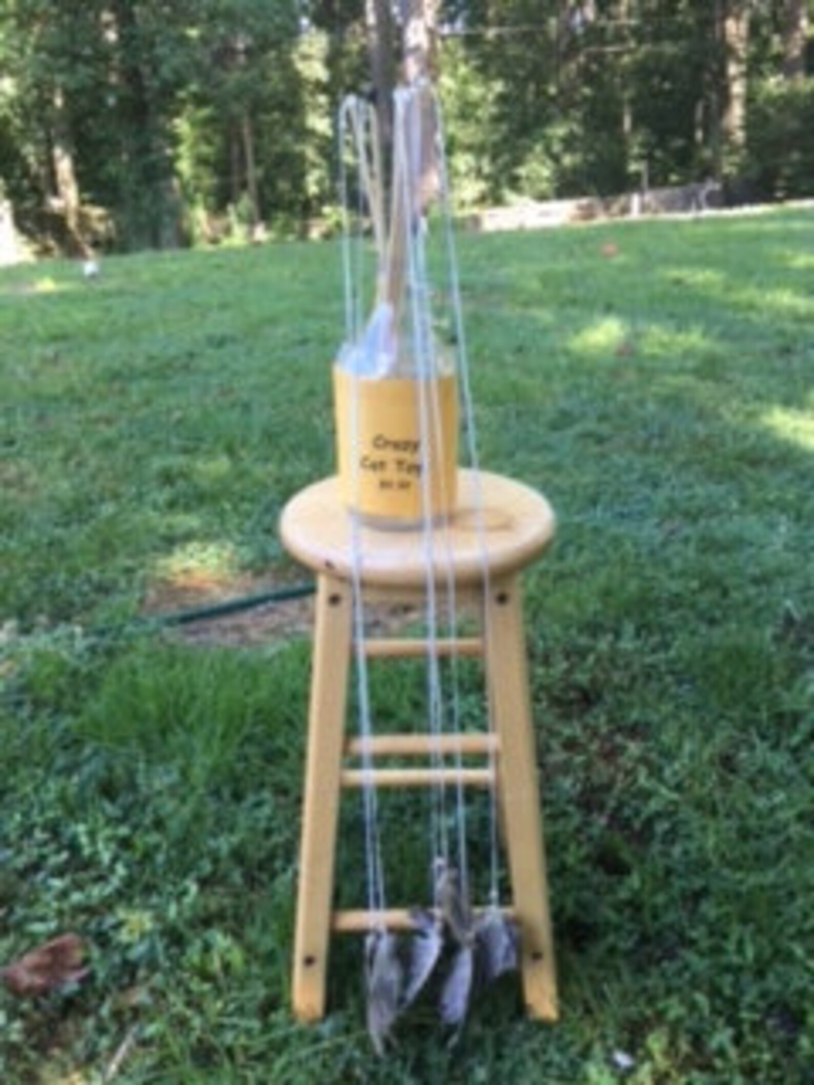 Crazy Cat Toy Authentic Dehydrated Quail Wing - Etsy