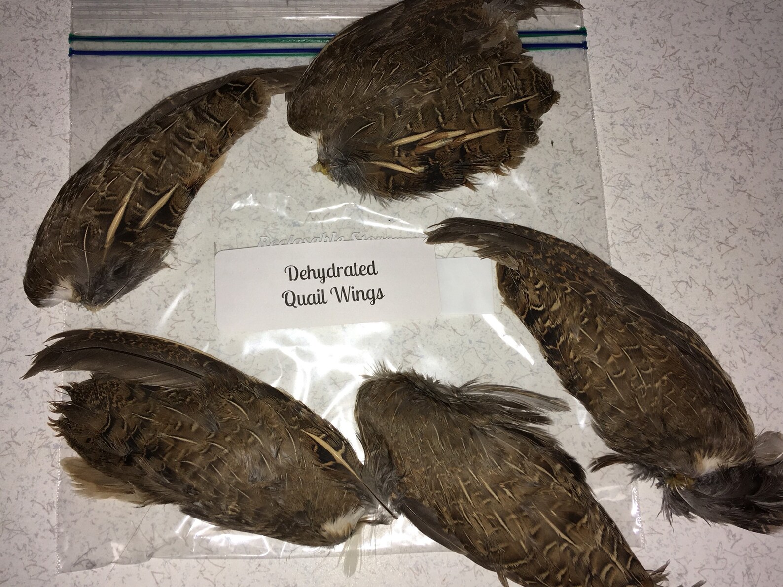 Dried Quail Wings4 for Crafts & Cats - Etsy