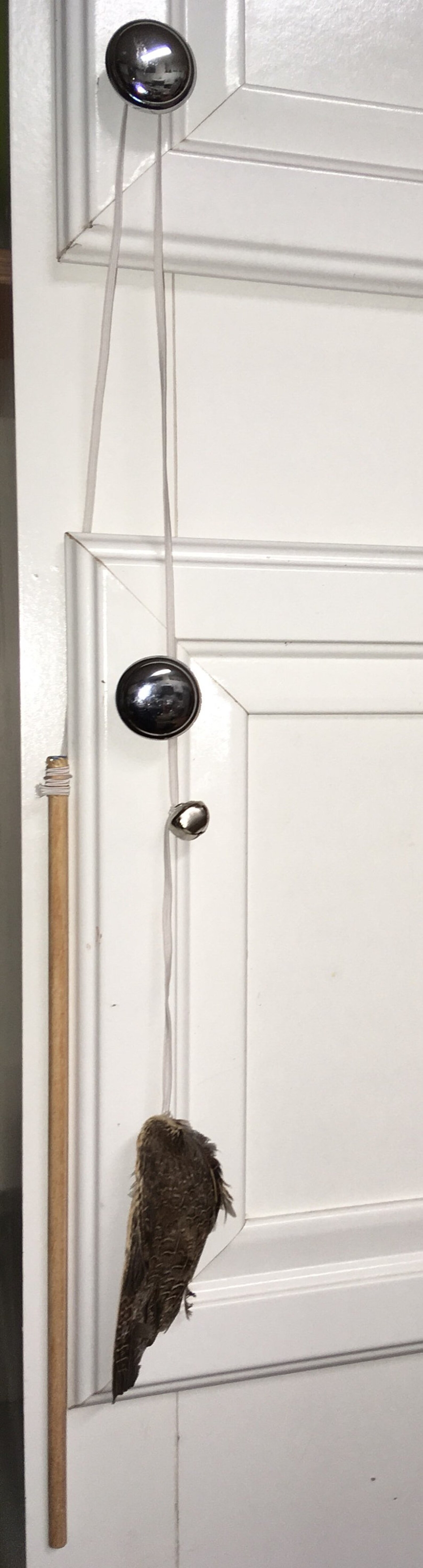 Crazy Cat Toy Authentic Dehydrated Quail Wing - Etsy