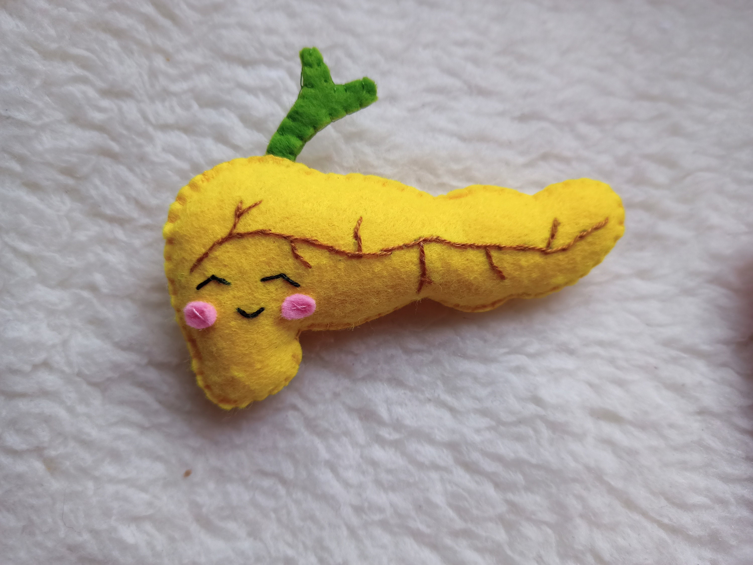 Human Organs Felt Internal Organs Plush Organs for Children - Etsy UK