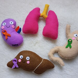 Human Body Organs in Felt. - Etsy