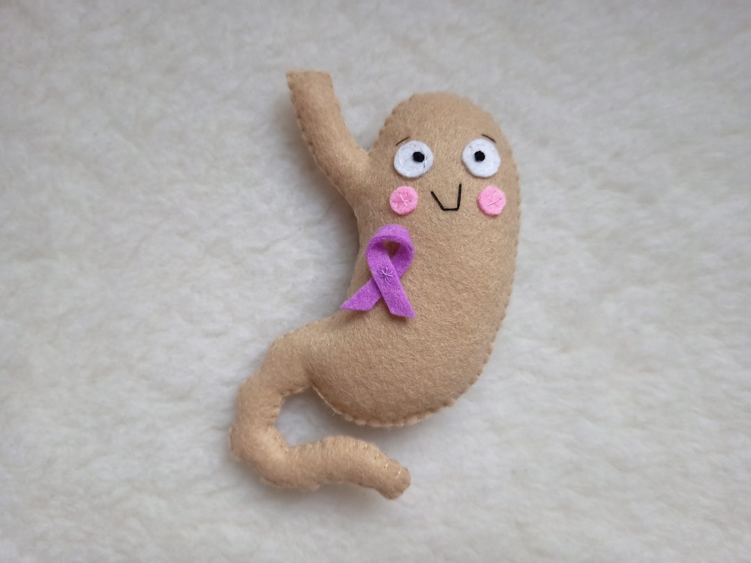 Plush Anatomical Stomach Cancer, Stomach Felt, Human Body Organs ...
