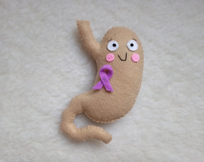 Plush Anatomical Stomach Cancer, Stomach Felt, Human Body Organs ...