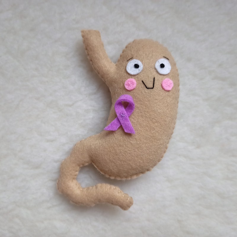 Human Body Felt - Etsy