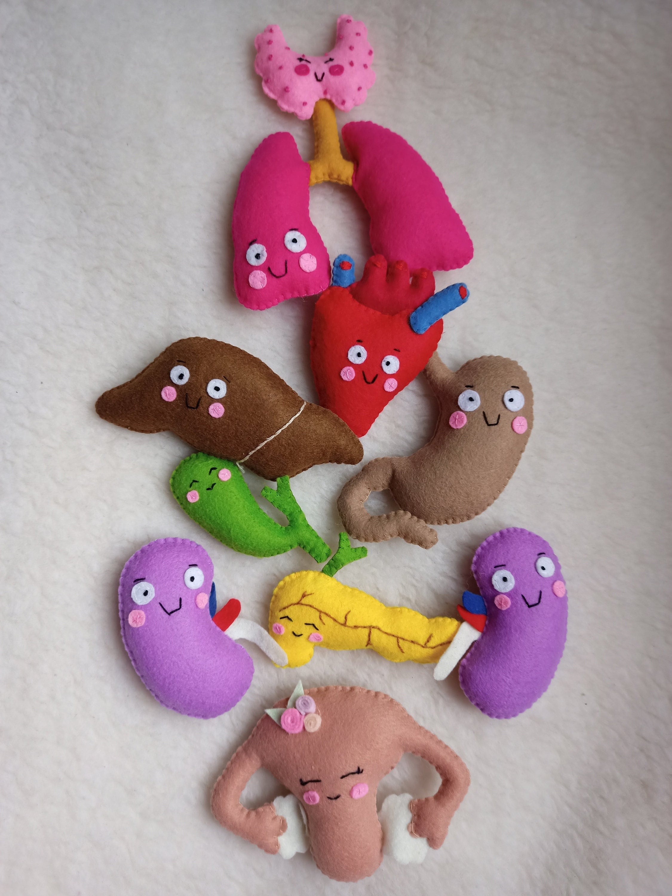 Human Organs, Felt Internal Organs, Plush Organs for Children Education ...
