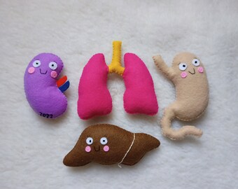Felt Body Organs - Etsy