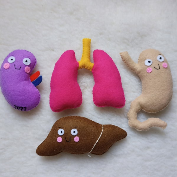 Human Body Felt - Etsy