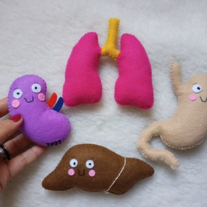 Human Body Organs in Felt. - Etsy