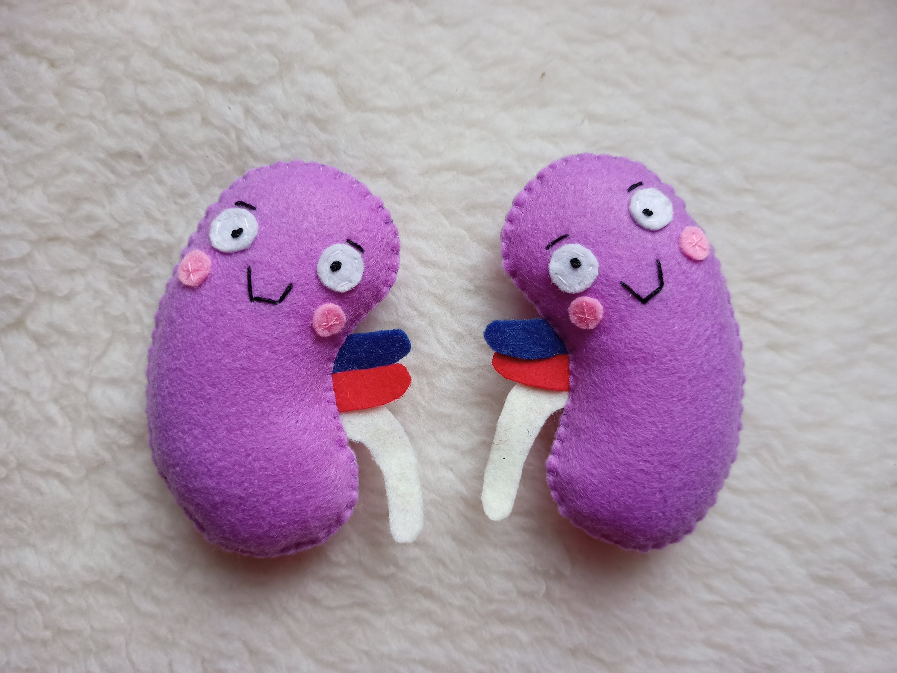 Human Organs Felt Internal Organs Plush Organs for Children - Etsy UK