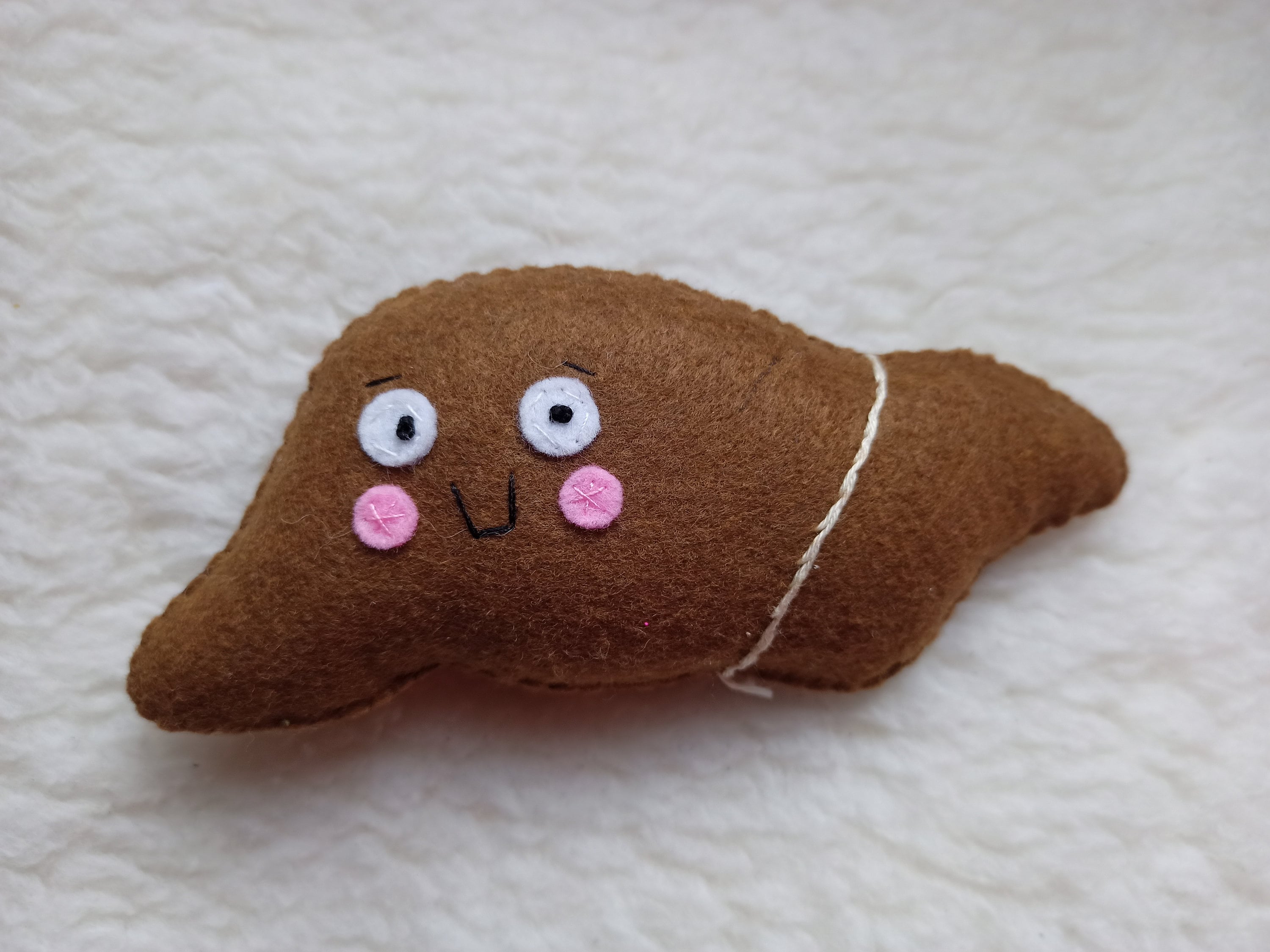 Human Organs Felt Internal Organs Plush Organs for Children - Etsy UK