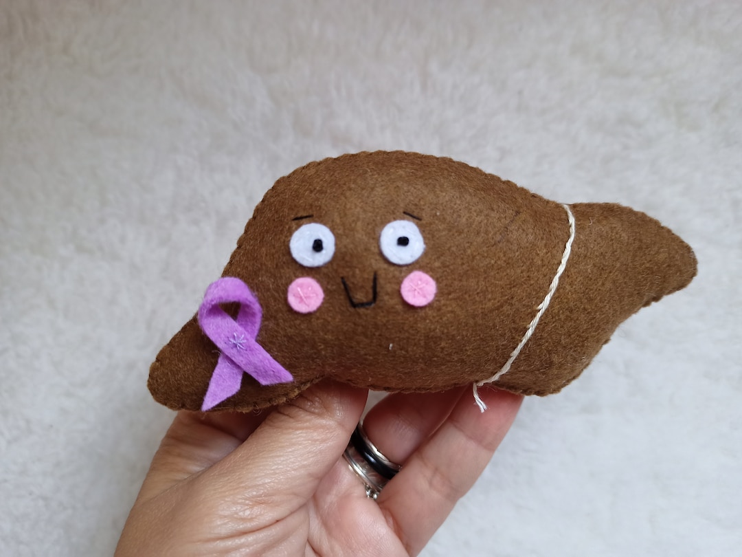 Liver Ornament, Plush Liver, Liver Donation, Liver Cancer, Human Body ...