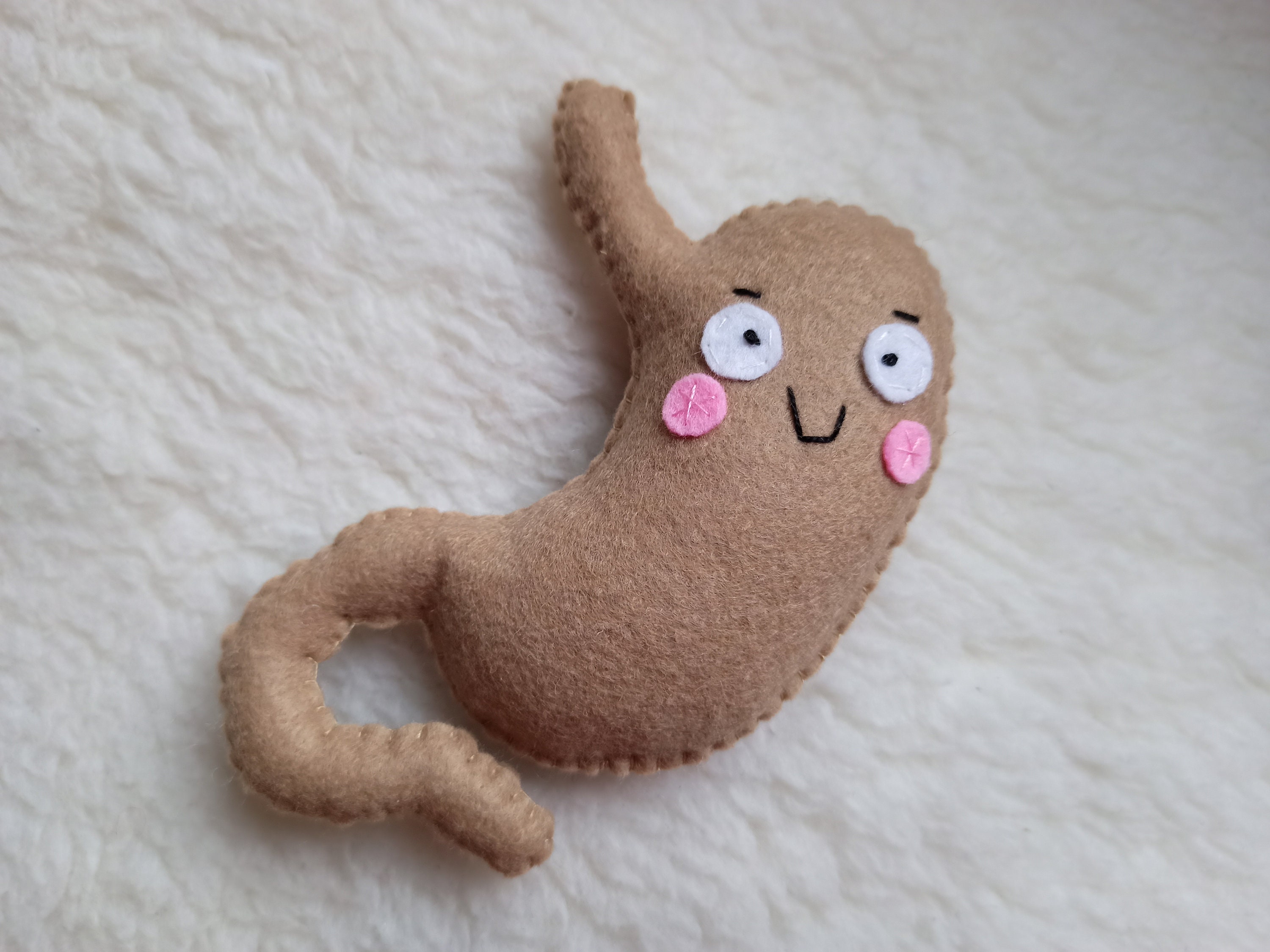 Human Organs Felt Internal Organs Plush Organs for Children - Etsy UK