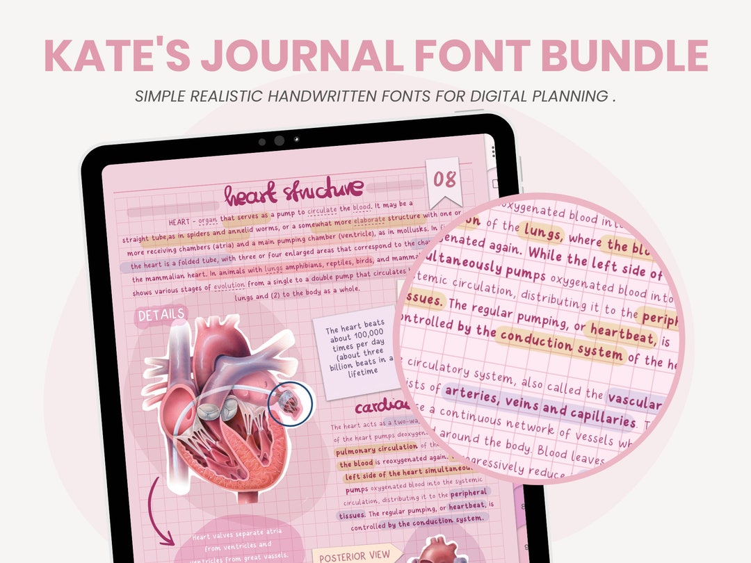 Kate's Journal Font | Neat Handwritten Font | Cute Handwriting ...