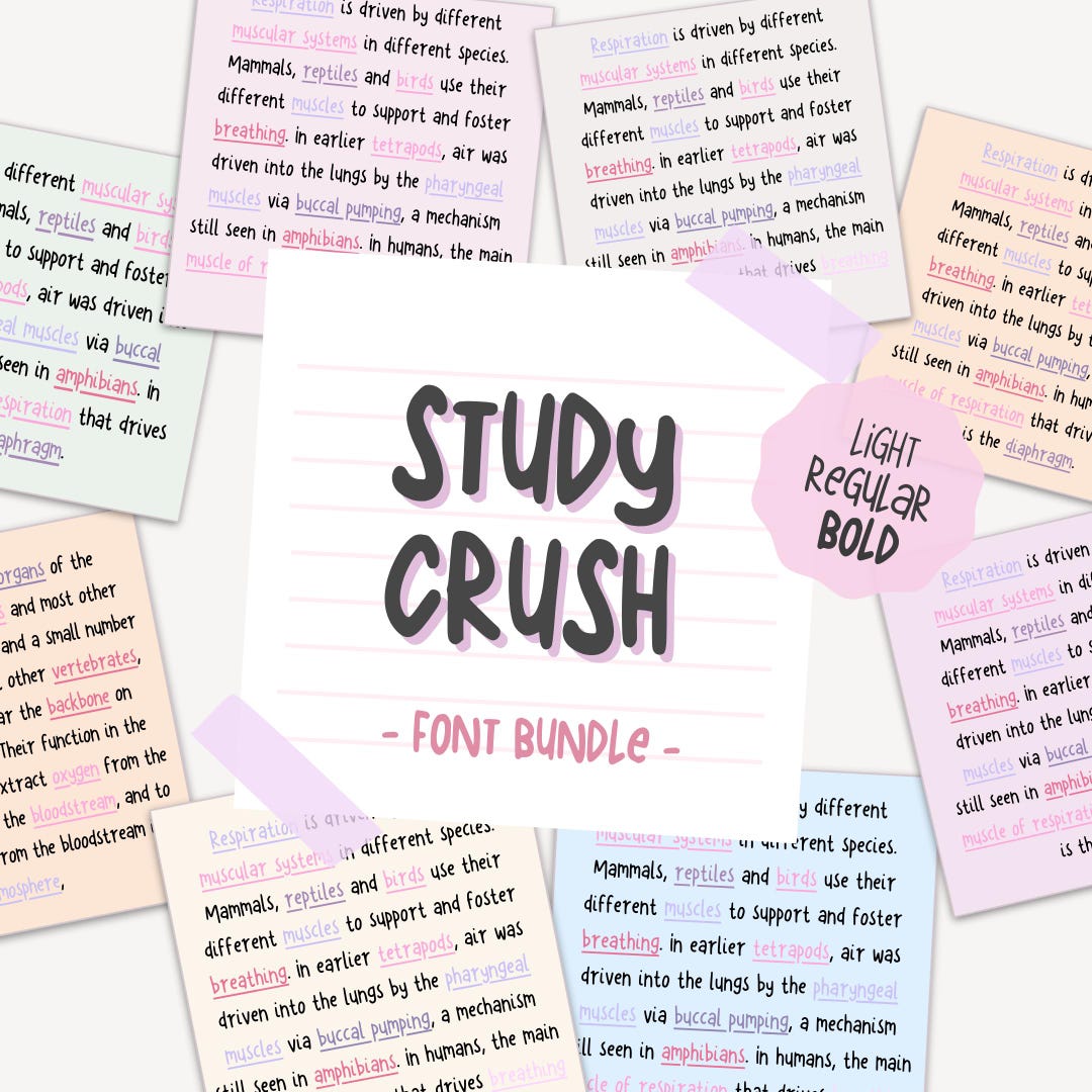 Study Crush Font | Neat Handwritten Font Bundle by Madetoplan | Cute ...