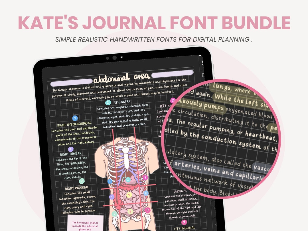 Kate's Journal Font | Neat Handwritten Font | Cute Handwriting ...