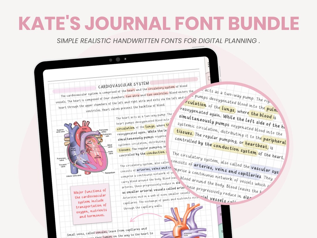 Neat Handwritten Font Student Note Taking Font Cute and Realistic ...