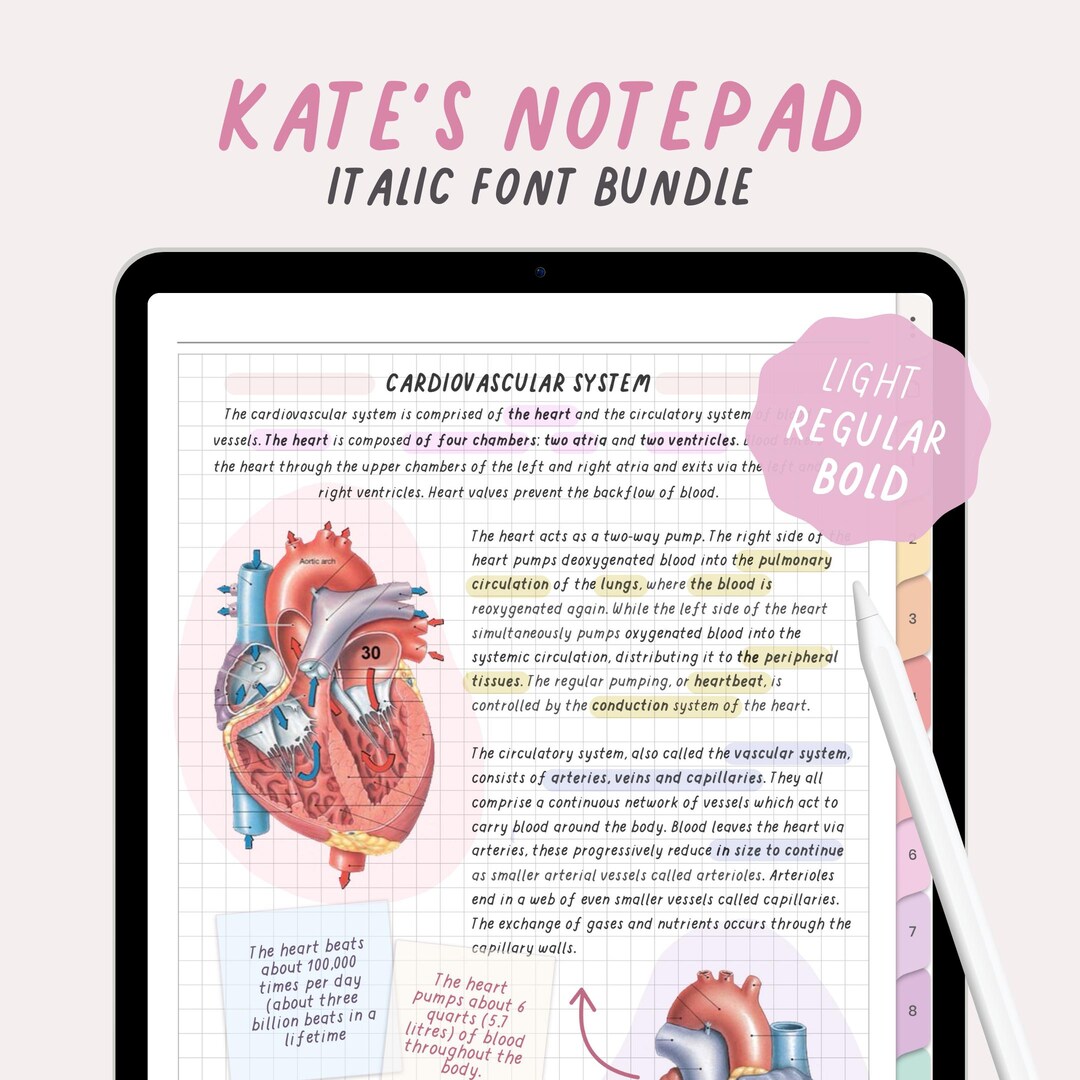 Kate's Notepad Font Bundle | Neat Handwritten Font | Cute Handwriting ...