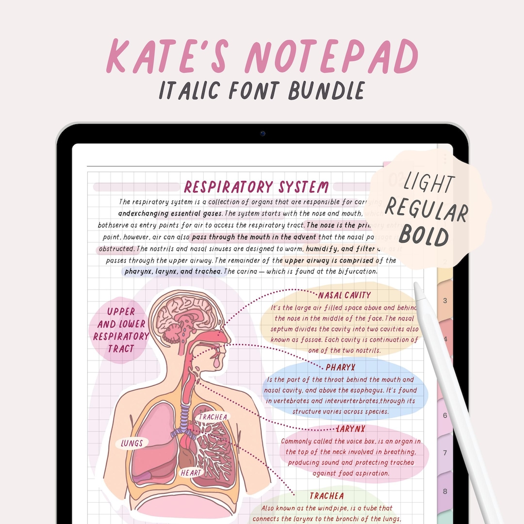 Kate's Notepad Font Bundle | Neat Handwritten Font | Cute Handwriting ...