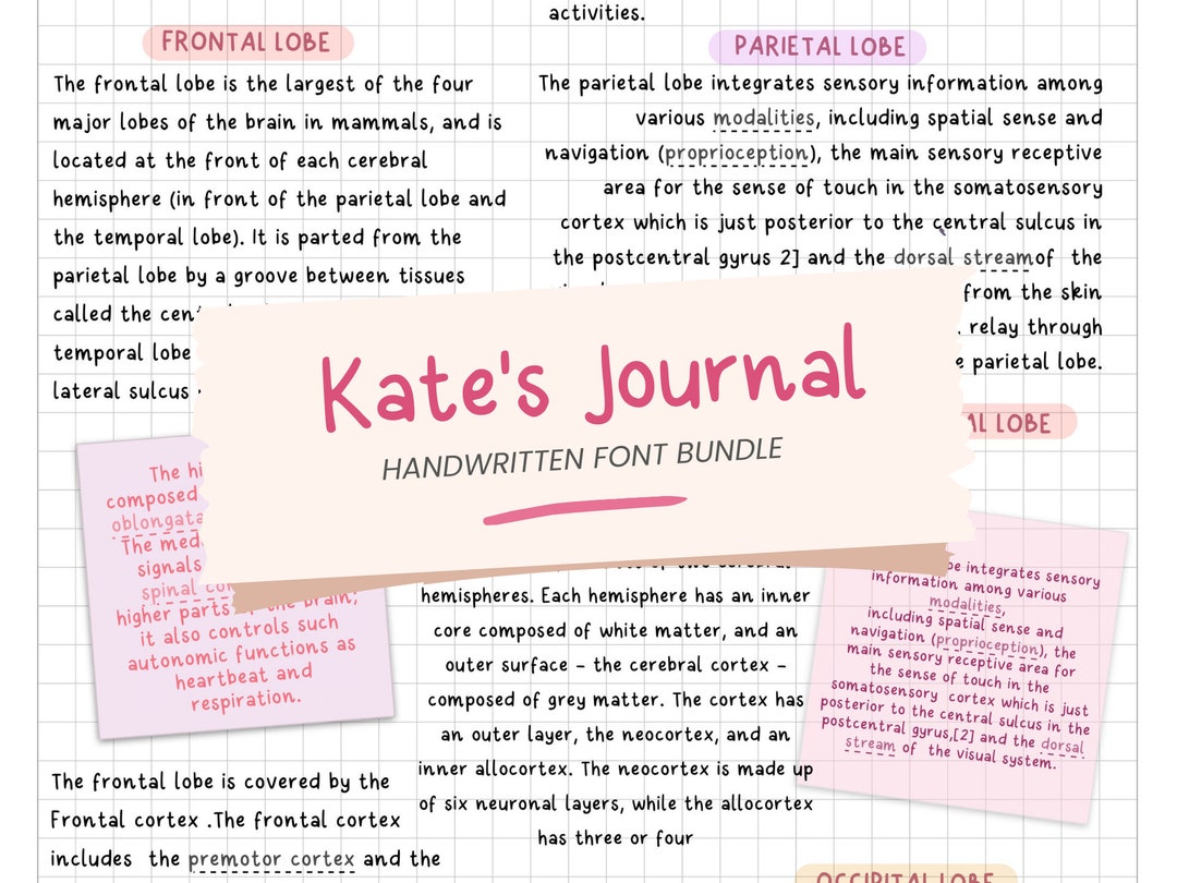 Kate's Journal Font | Neat Handwritten Font | Cute Handwriting ...