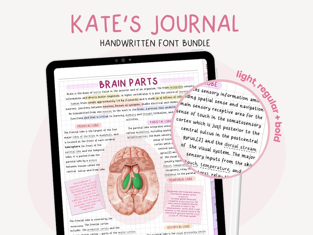 Kate's Journal Font | Neat Handwritten Font | Cute Handwriting ...