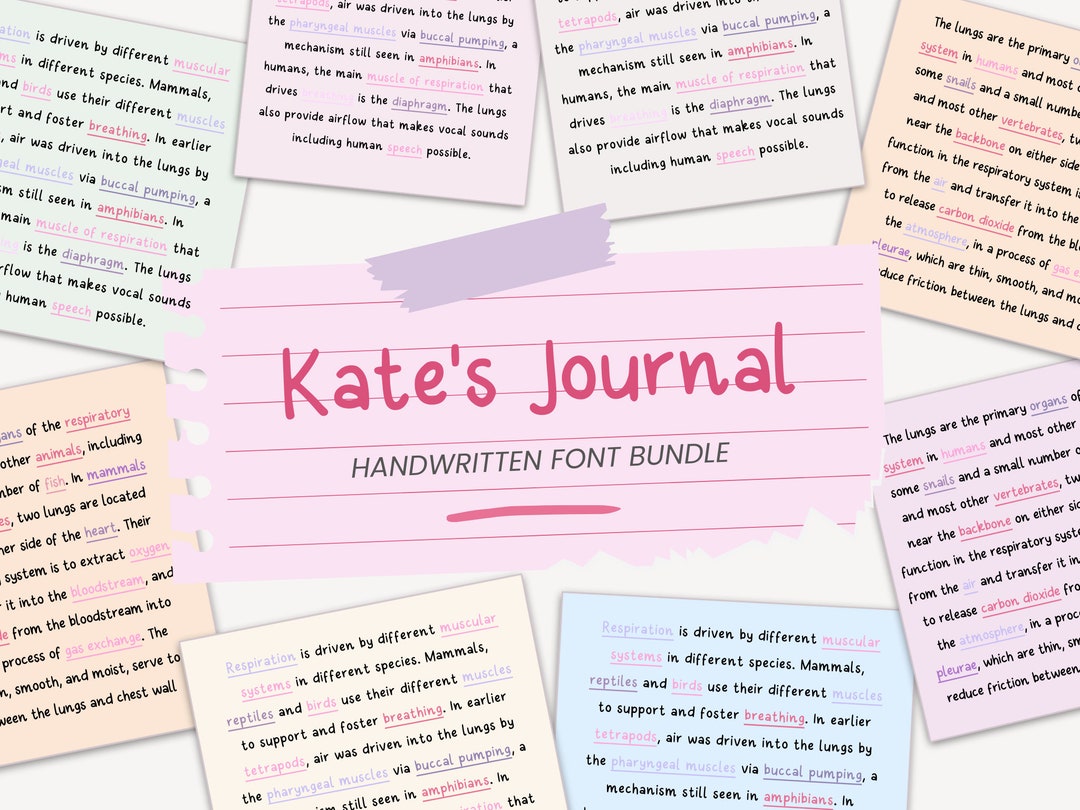 Kate's Journal Font | Neat Handwritten Font | Cute Handwriting ...