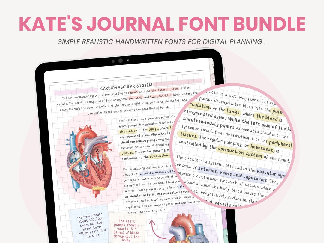 Kate's Journal Font | Neat Handwritten Font | Cute Handwriting ...