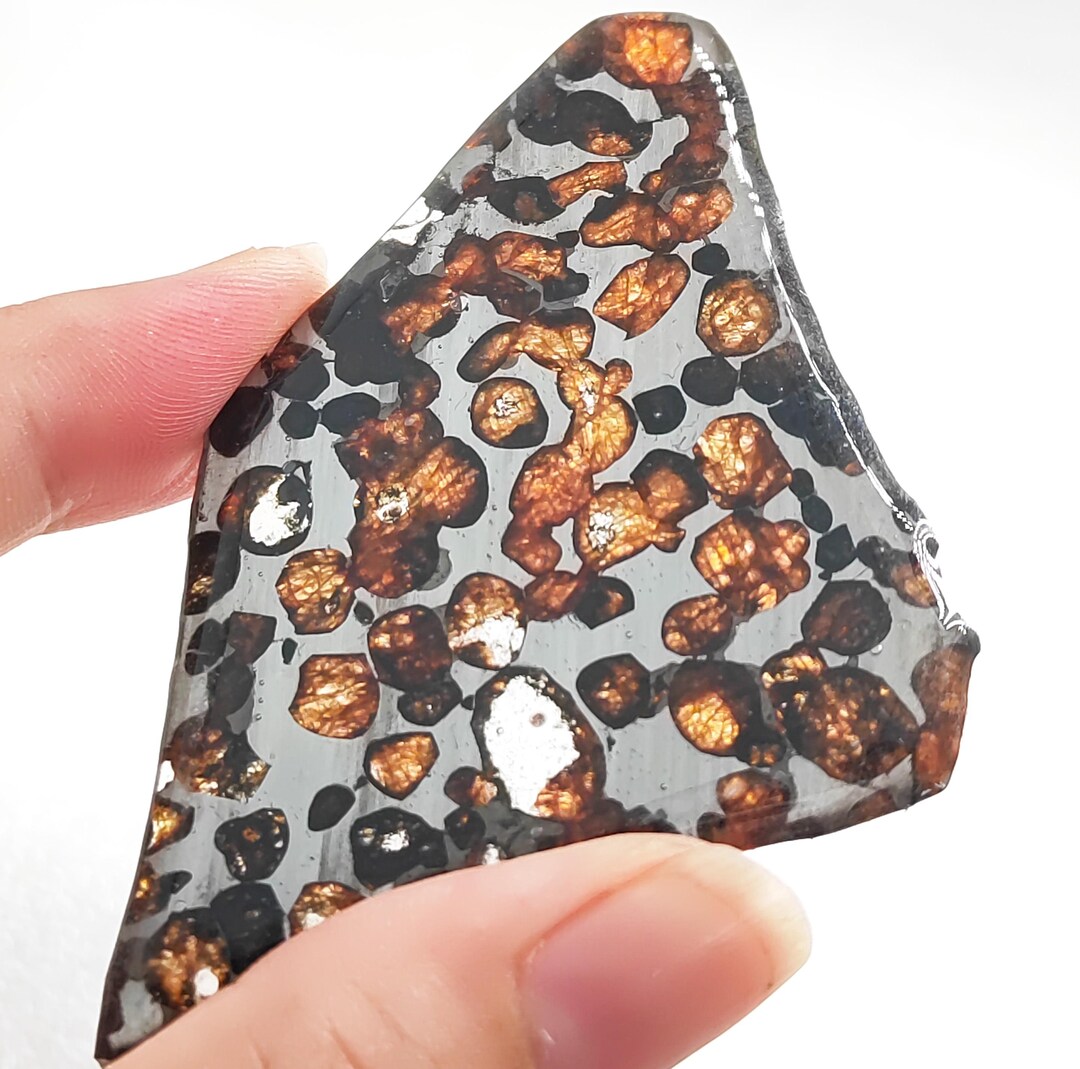 Seymchan Pallasite Meteorite Slice (61.6x56.1x4.1mm, 16.2g) Rust ...