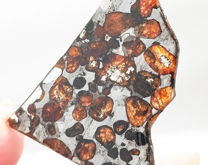 Seymchan Pallasite Meteorite Slice (32x42x6mm) - Etsy