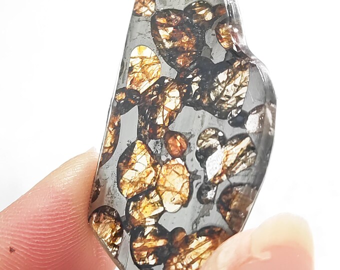 Seymchan Pallasite Meteorite Slice (39.8x23x5.6mm) - Etsy