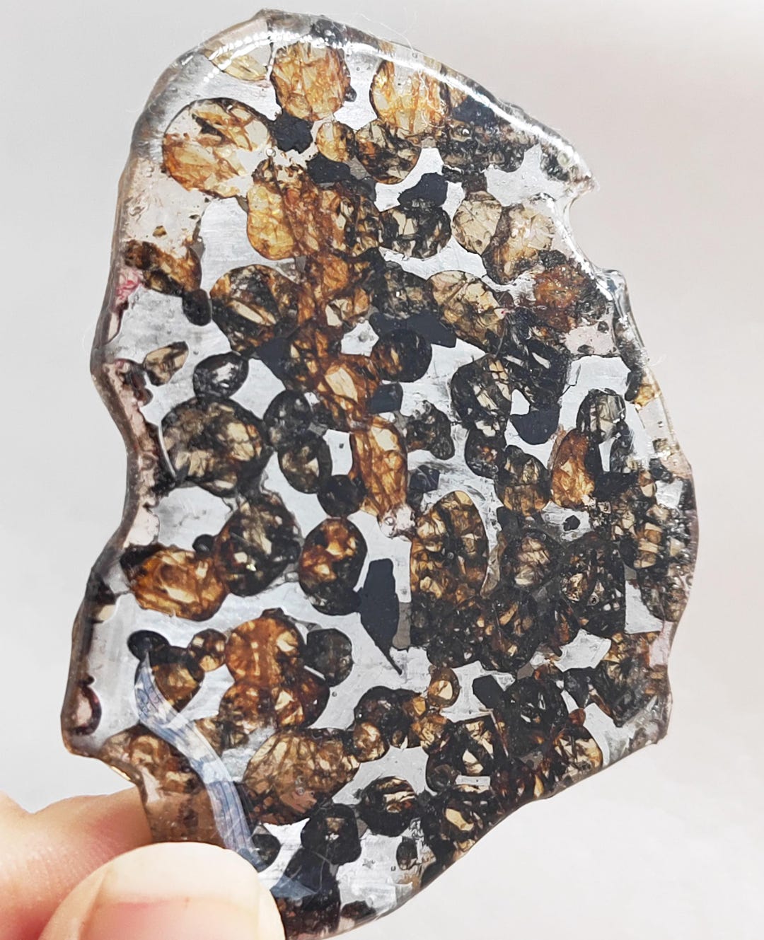 24.8g Seymchan pallasite Meteorite Slice Beautiful Meteorite Slice ...