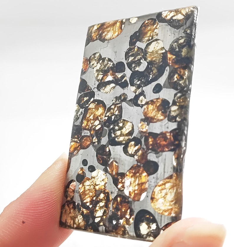 Seymchan Pallasite Meteorite Slice (48.9x29.8x6mm) - Etsy
