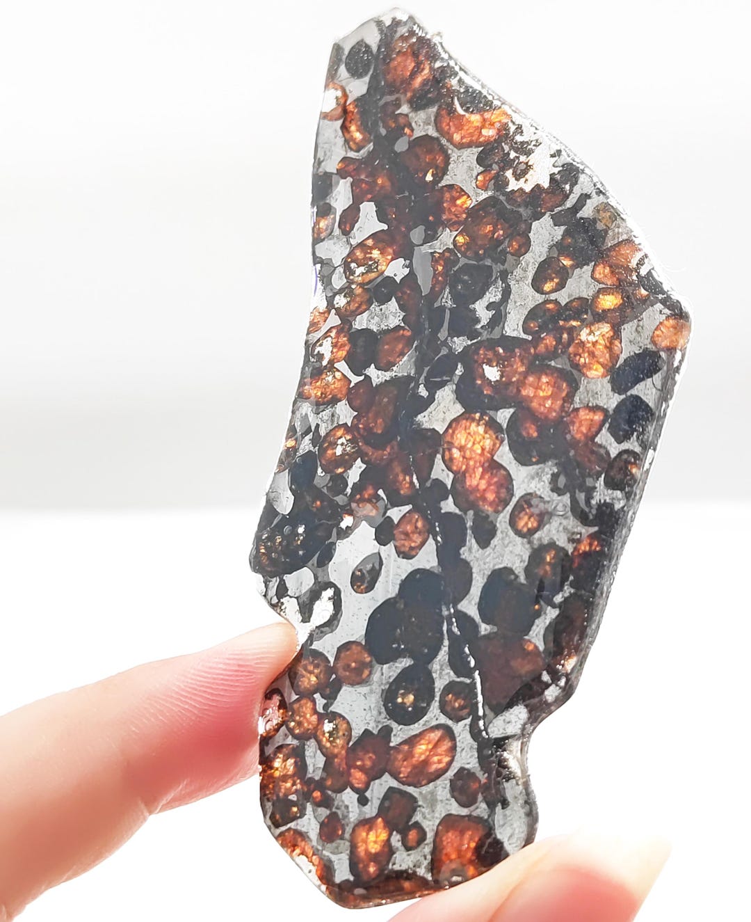 Seymchan Pallasite Meteorite Slice - 90CT, 95.3x43.2mm - Etsy