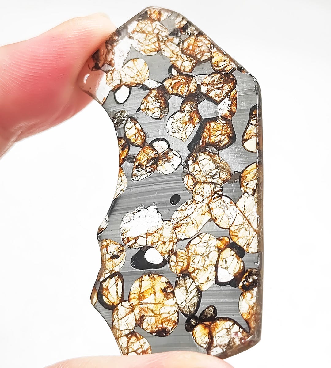 32ct Seymchan pallasite Meteorite Slice Beautiful Meteorite Slice ...