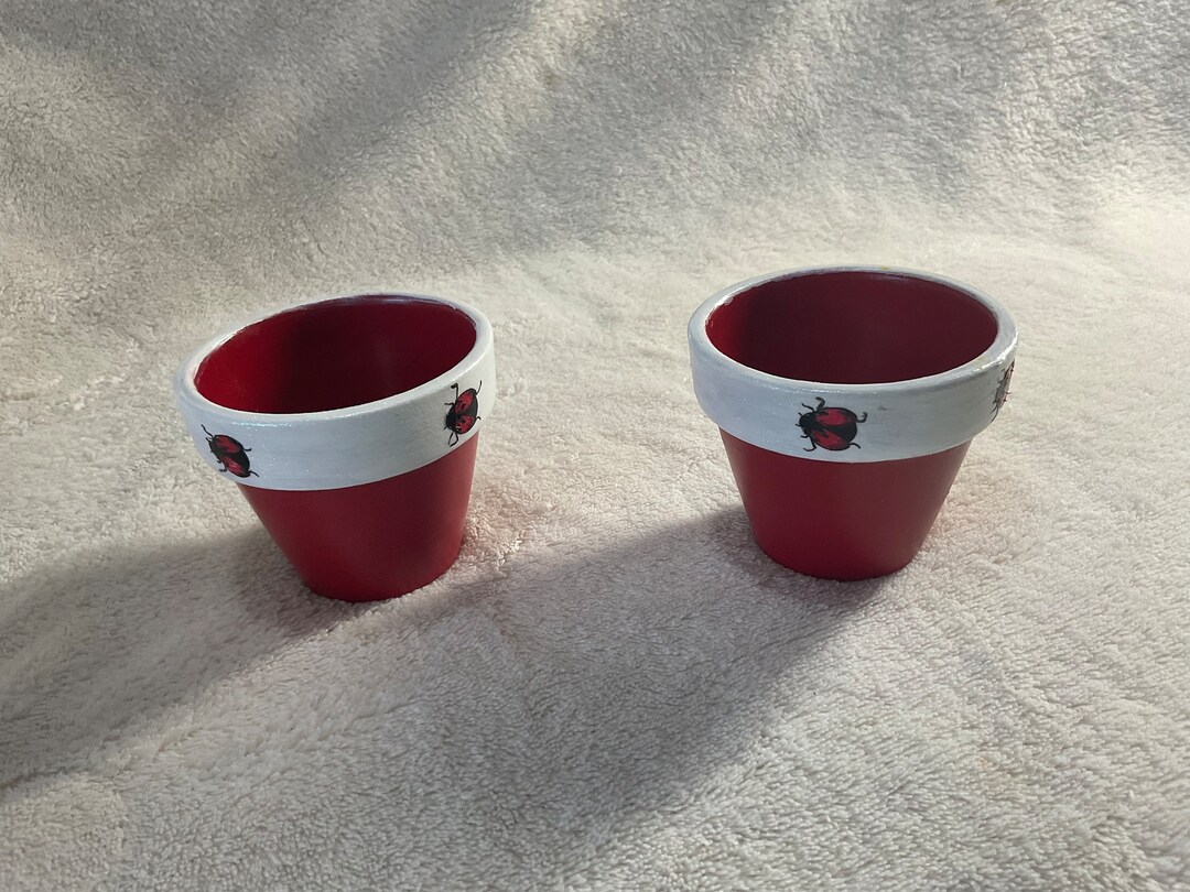 2inch Lady Bug Clay Pots. Set of 2 - Etsy