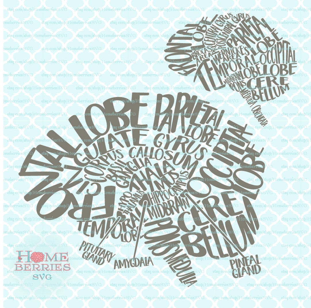 Anatomical Brain Typography Svg Neuro Nurse RN Svg Stroke Nursing Svg ...